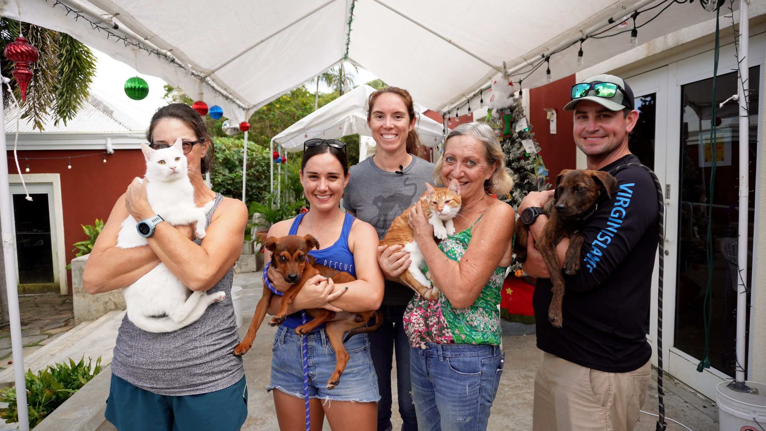 Overcrowding at Humane Society of St. Thomas, Suspends Animal Intake ...
