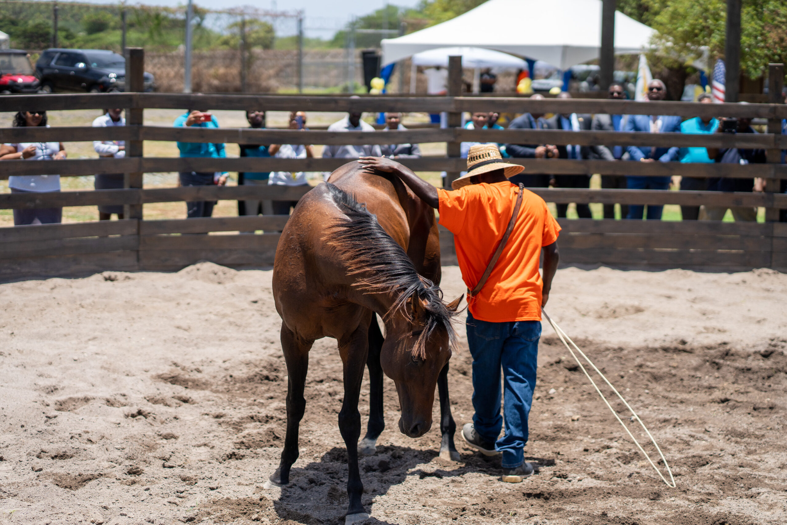 Bryan Tours John A. Bell Facility and Cuts Ribbon for Equine Therapy ...