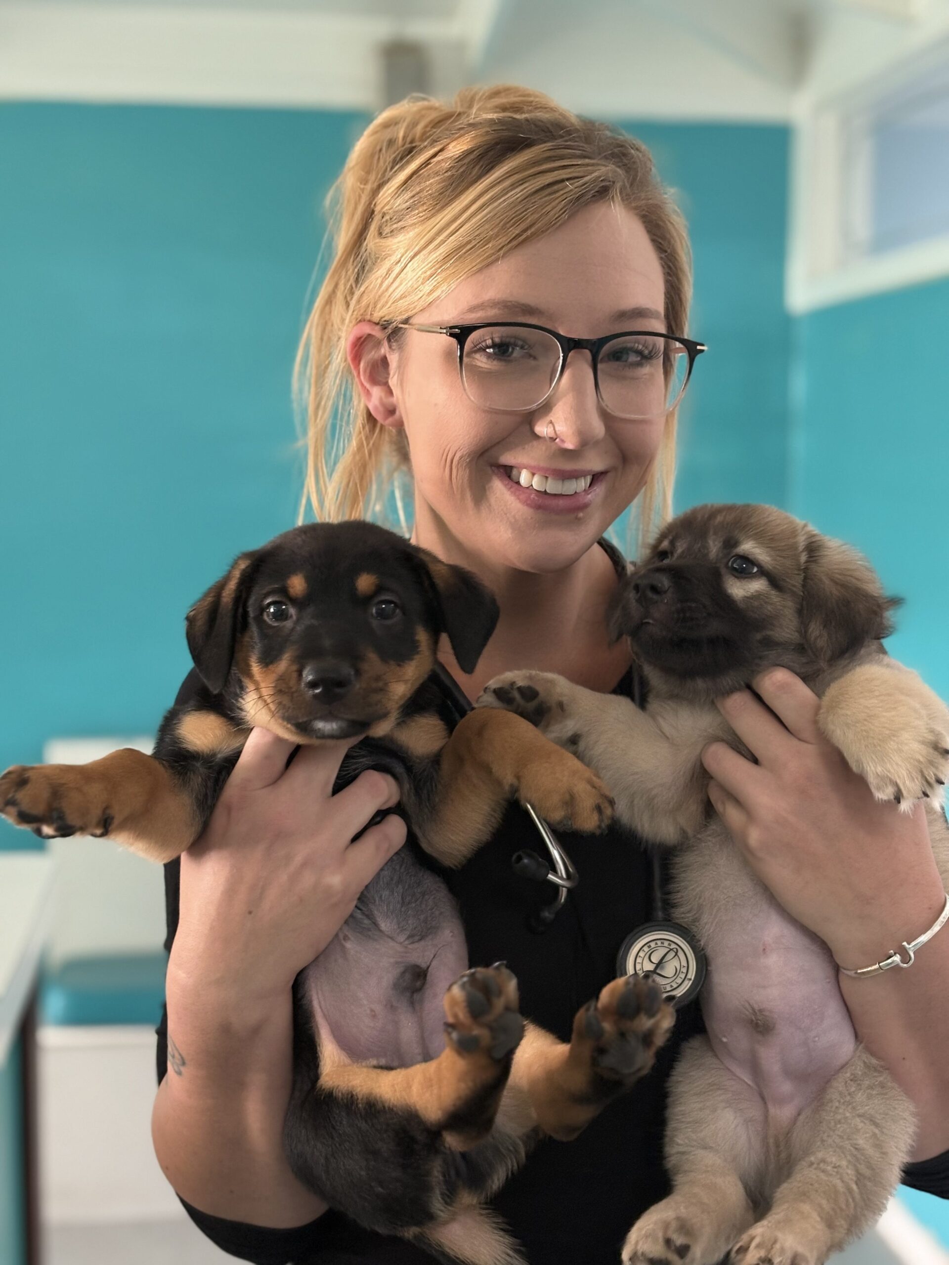 St. Croix Animal Welfare Center Completes Free Spay/Neuter Clinic ...